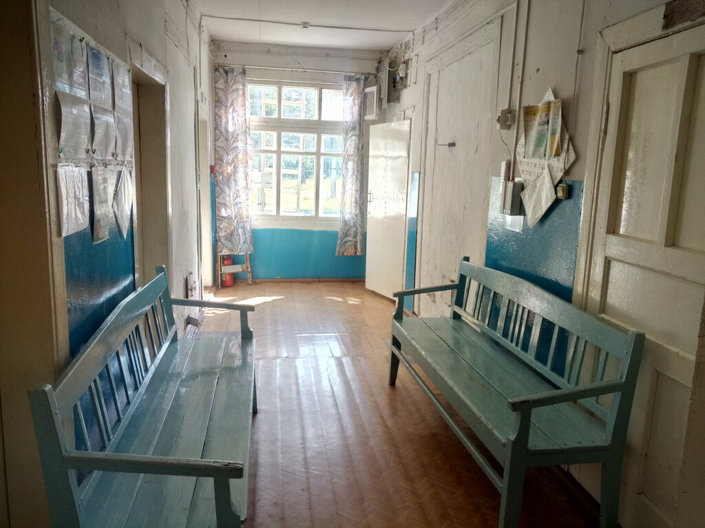 Aile sağlığı merkezi Kogbuz Luzskaya tsentralnaya rayonnaya bolnitsa Borovitsky feldshersko-akushersky punkt, Kirovskaya oblastı, foto