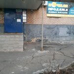 Ночная рыбалка (Altayskaya ulitsa No:12), balıkçılık ekipman firmaları  Orenburg'dan