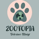 Zootopia Veteriner Kliniği (Ekşioğlu Mah., Turgut Özal Cad., No:179/B, Çekmeköy, İstanbul), veteriner klinikleri  İstanbul'dan