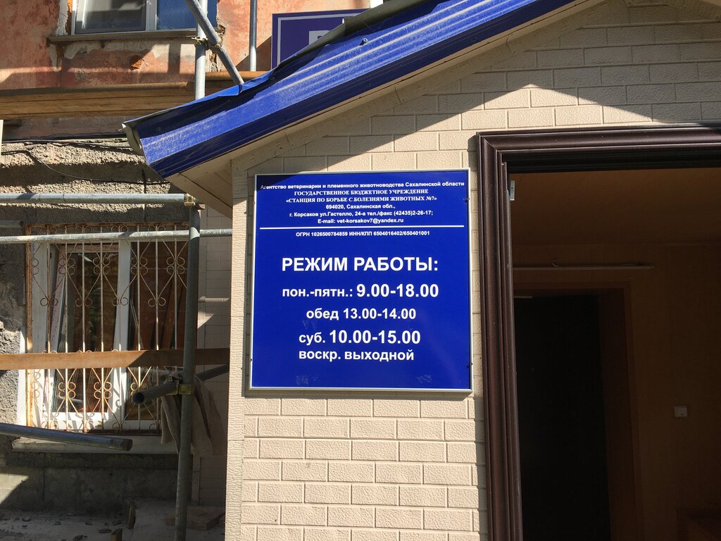 Veteriner klinikleri Vetlechebnitsa, Korsakov, foto