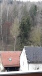 Merkel Maik Forstwirtschaftliche Dienstleistungen (Bavaria, Neustadt an der Waldnaab, Am Feiler, 14), orman işleri  Bavyera'dan
