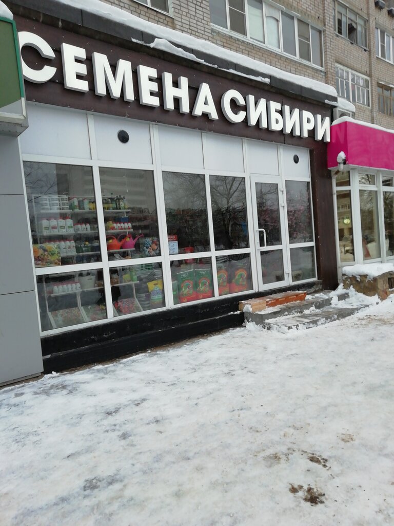 Tohum satan yerler Семена Сибири, Velikiy Novgorod, foto