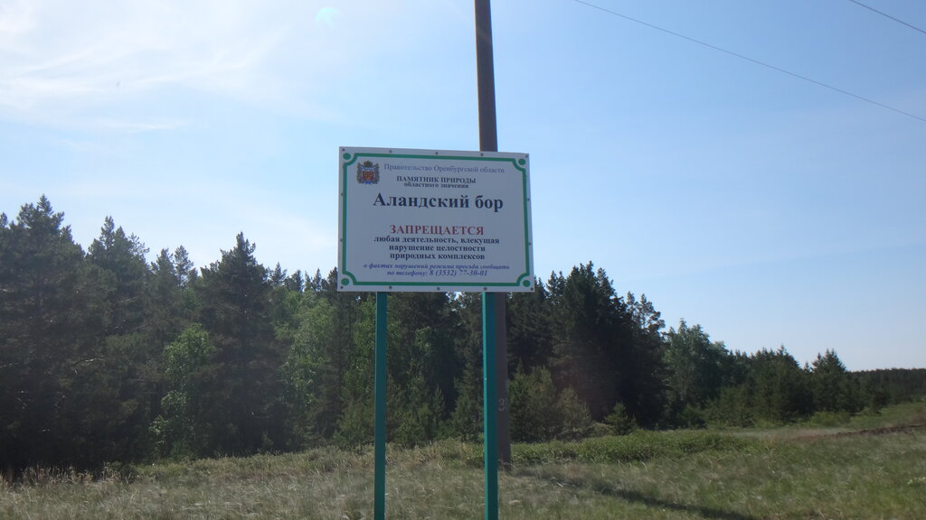Doğa Аландский бор, Orenburgskaya oblastı, foto