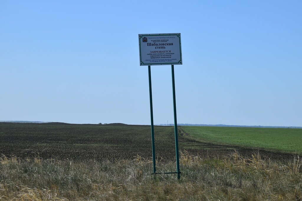 Doğa Шабаловская степь, Orenburgskaya oblastı, foto