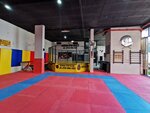Samurai Spor Klübü (Cikcilli Mah., 227. Sok., No:13, Alanya, Antalya), spor kulüpleri  Alanya'dan