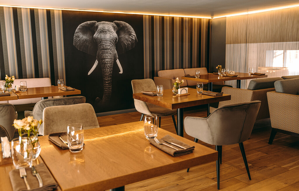 Kafe Bonjour éléphant, Balaşiha, foto