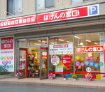 ほけんの窓口 前橋国領店 (国道17号), sigorta şirketleri  Maebashi'den