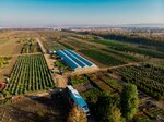 Zelenstroy (Sovetskaya ulitsa No:134), şehir planlama  Anapa'dan