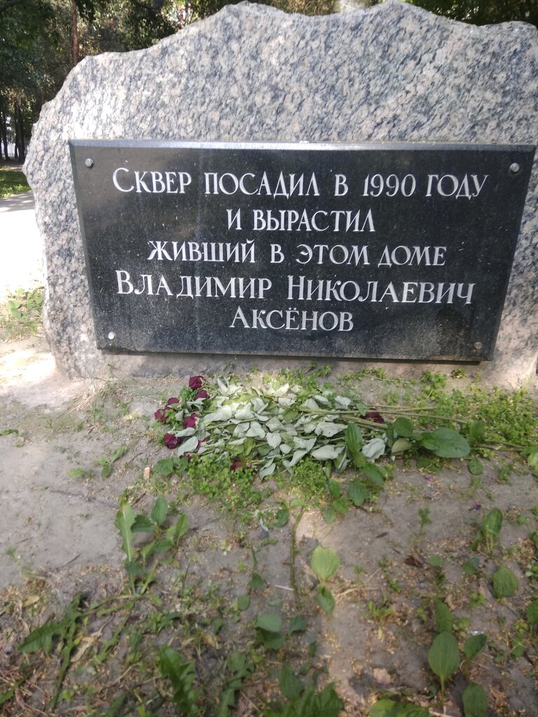 Meydan Сквер имени В.Н. Аксёнова, Saint‑Petersburg, foto