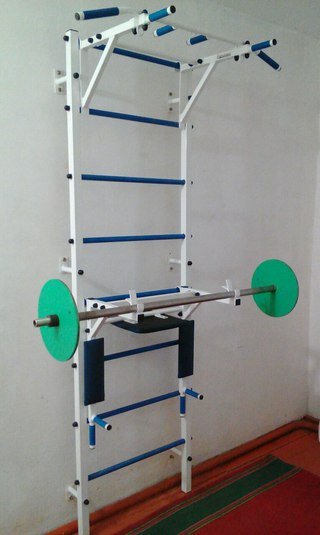 Fitness ve spor ekipmanı firmaları RealTurnik, Cheboksary, foto
