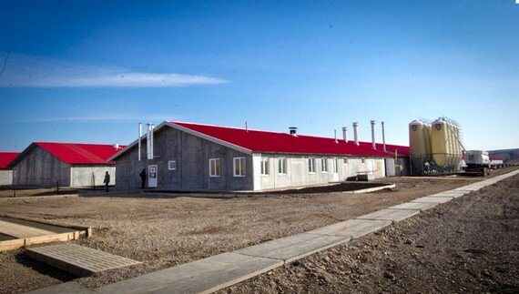 Silo Goldman Group, Krasnoyarsk, foto