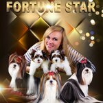 Kennel Biewers Fortune Star (Michurinsky Avenue No:56), evcil hayvan yetiştiricileri  Moskova'dan