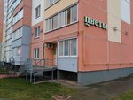 Tsvety magazin № 2 Gp Zelenkhoz (vulica Karatkieviča No:1, Viciebsk), çiçekçiler  Vitebsk'ten