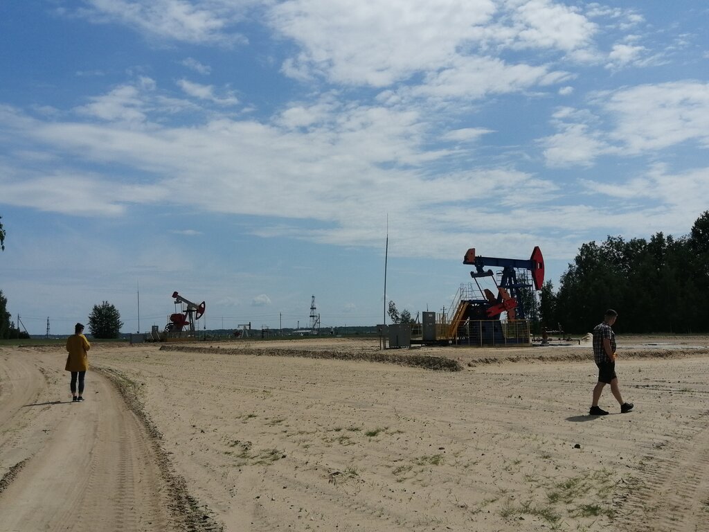 Turistik yerler Нефтяные насосы, Gomelskaya oblastı, foto