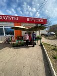 Сказка (ulitsa Lenina No:67, Arkadak), market  Arkadak'tan