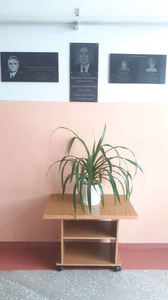 Anıt levhası, anıt taş Герою Советского Союза Василию Моисеевичу Горбань, Orenburgskaya oblastı, foto