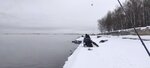 Yacht Club (Smolensk Region, Desnogorsk, territoriya Naberezhnaya Zona Otdykha), yat kulüpleri  Desnogorsk'tan
