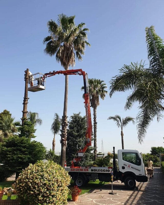 Kiralama noktası Folu Multiservice Noleggio Piattaforme Aeree, Napoli, foto