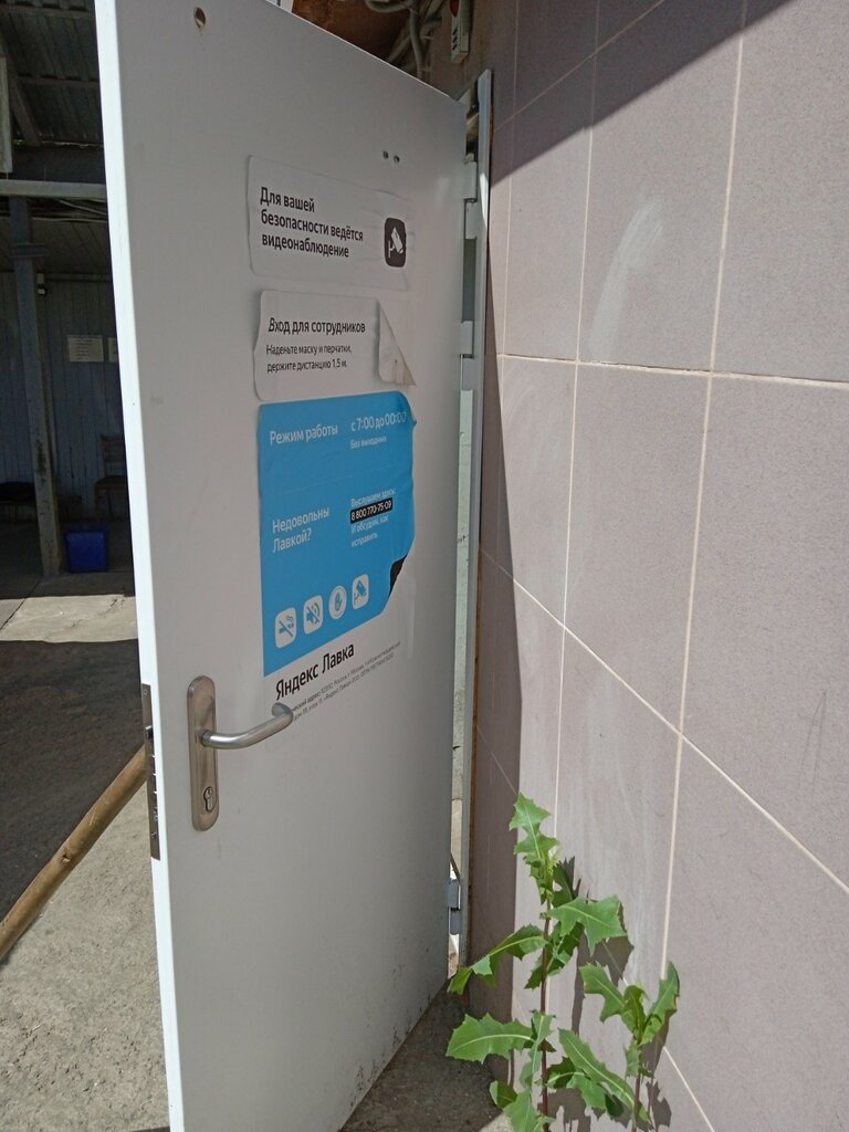 Hazır yemek teslim servisleri Yandex Lavka, Moskova, foto