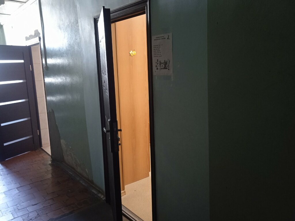 Terziler Пчёлка, Samara, foto