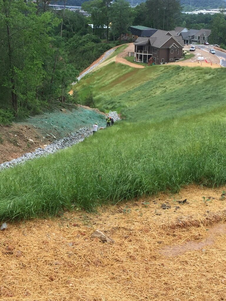 Peyzaj tasarımı Groundscape Concepts, Chattanooga, foto