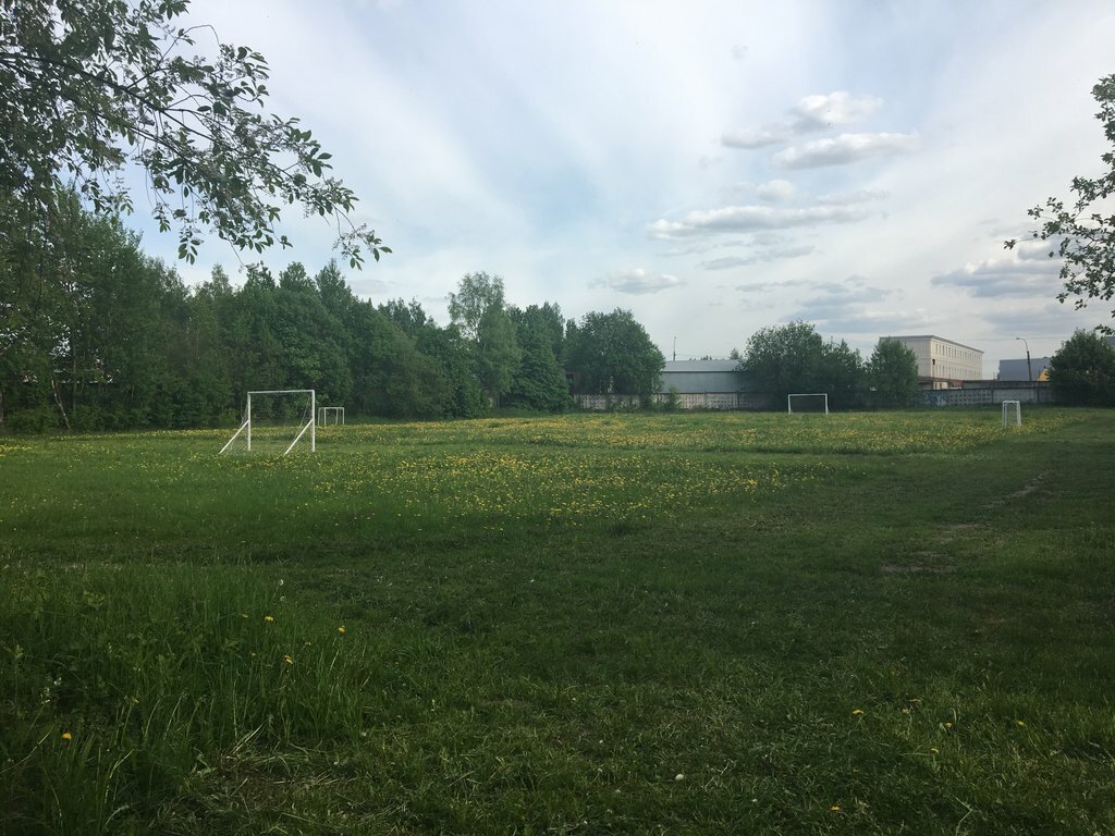 Stadyum Стадион АУГСГиП, Saint‑Petersburg, foto