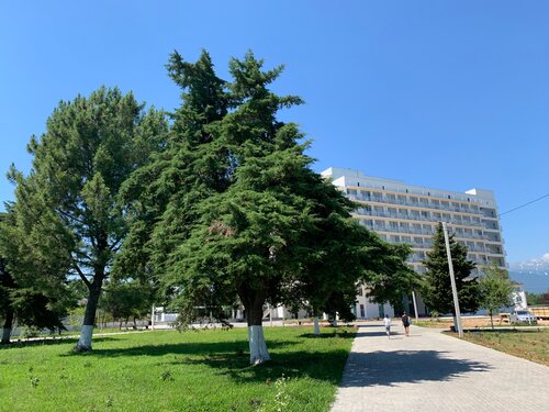 Отзывы Пансионат Апсны, Гудаутский район, Абхазия — 341 реальный отзыв ...