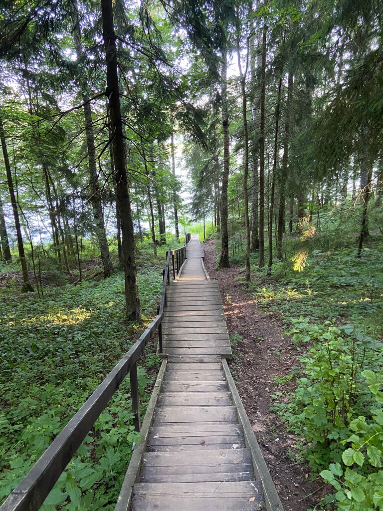 Turistik yerler Пешеходный экологический маршрут Вокруг озера Чистик, Smolenskaya oblastı, foto