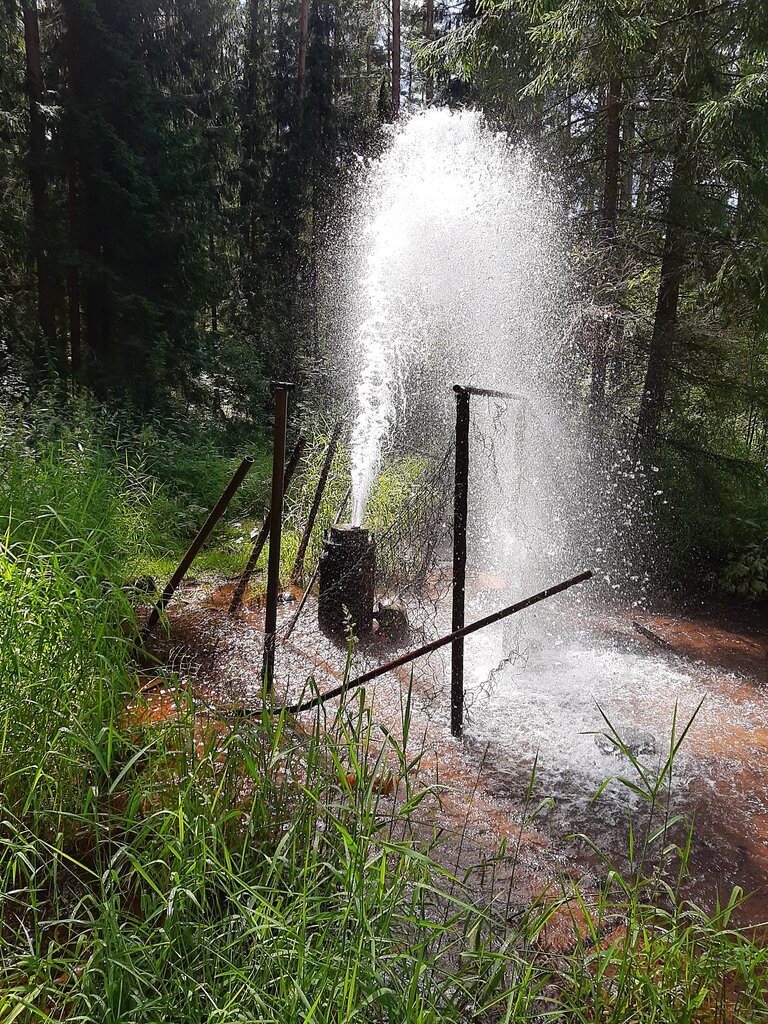 Pınar, çay Spring, stream, Tverskaya oblastı, foto