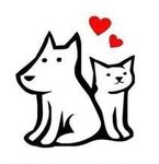 Overexposure Of Animals (Kopninskaya Street No:13/7, mikrorayon Semkhoz), pet otel  Sergiyev Posad'dan