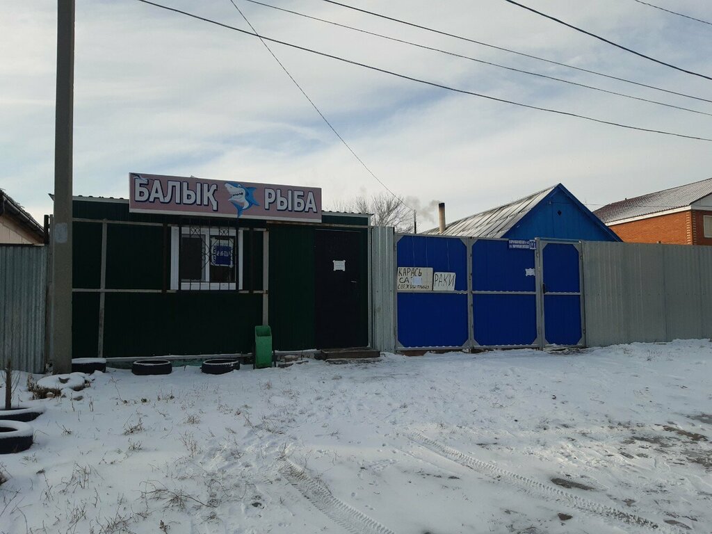Balık ve deniz ürünleri Balyk, Kostanay, foto