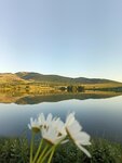 Мраморное (Нижняя улица No:13, село Мраморное), bahçecilik dernekleri ve kuruluşları  Kırım Cumhuriyeti'nden