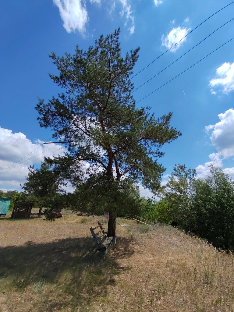 Tatil köyleri Турбаза, Volgogradskaya oblastı, foto
