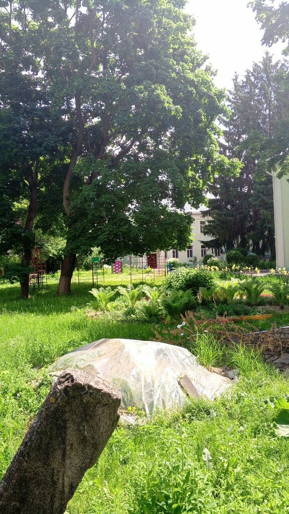 Anaokulları Detsky sad № 2 Teremok, Kolomna, foto