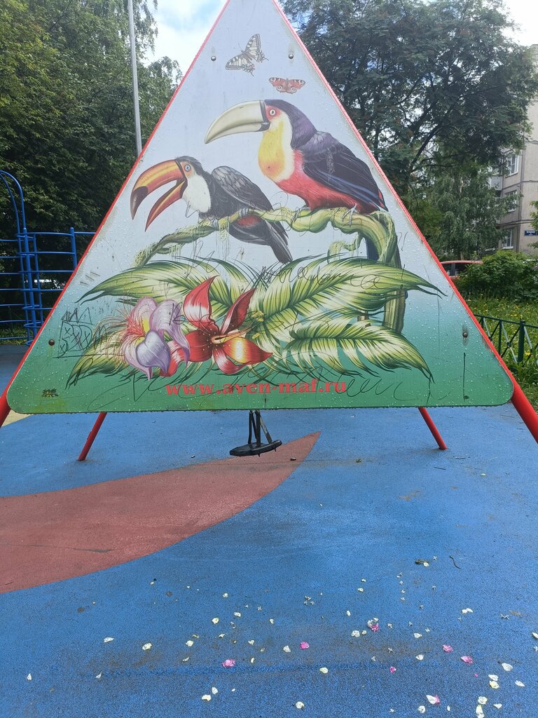 Oyun alanı Детская площадка Мексика, Petrozavodsk, foto