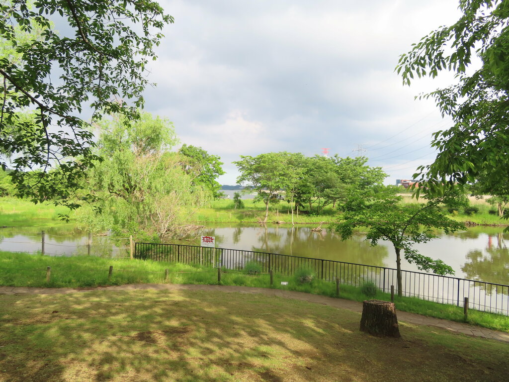 Kültür ve eğlence parkları 北柏ふるさと公園, , foto