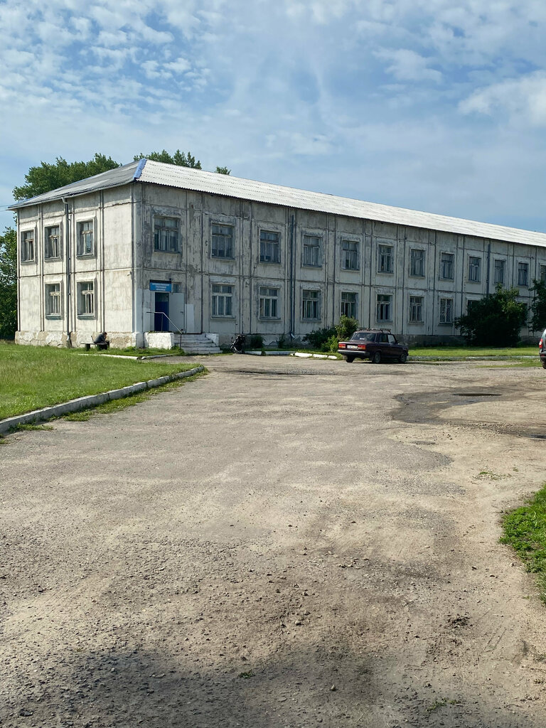 Hastaneler Brodokalmakskaya uchastkovaya bolnitsa, Çeliabinskaya oblastı, foto