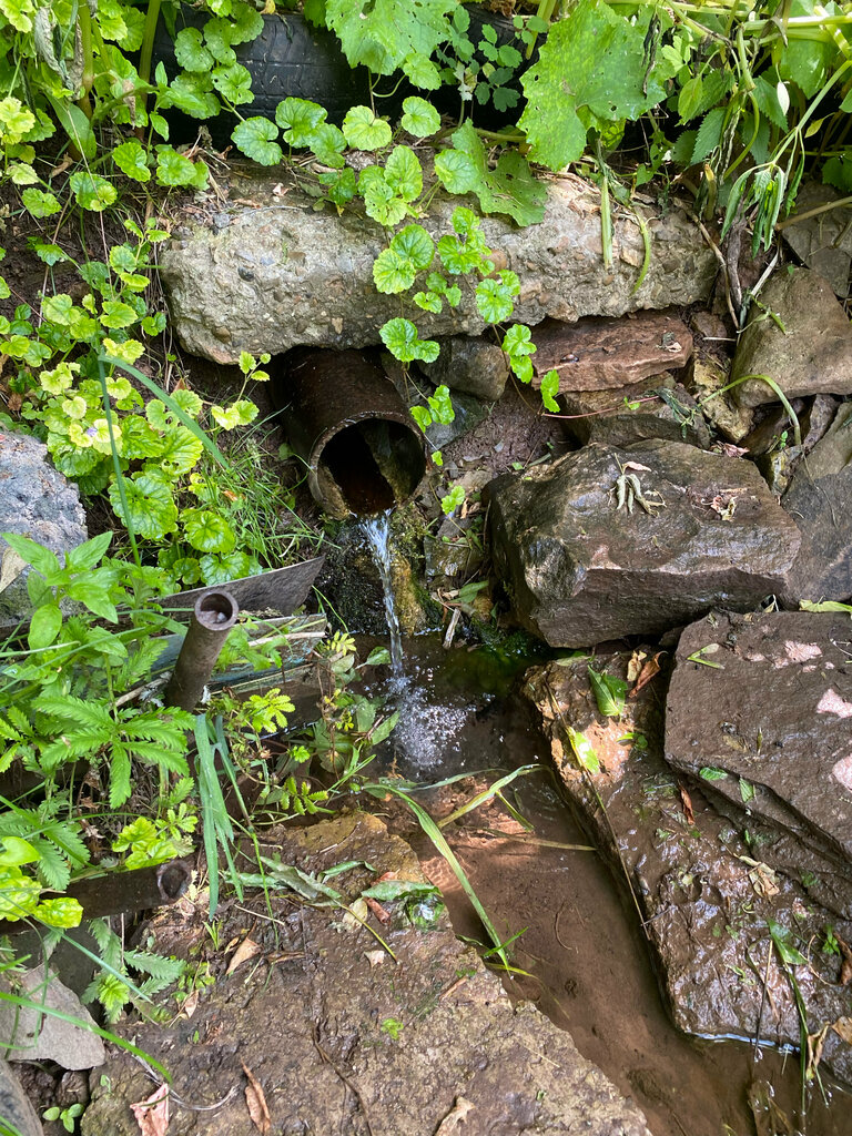 Pınar, çay Spring, stream, Oktiabrski, foto