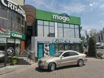 Mogo (Sokolen Street No:8), leasing hizmetleri  Kişinev'den