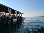 Fishlandia (Baku street No:33ა), restoran  Batum'dan