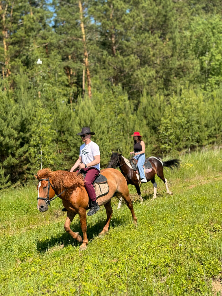 At ve binicilik kulüpleri Тандем, İrkutskaya oblastı, foto