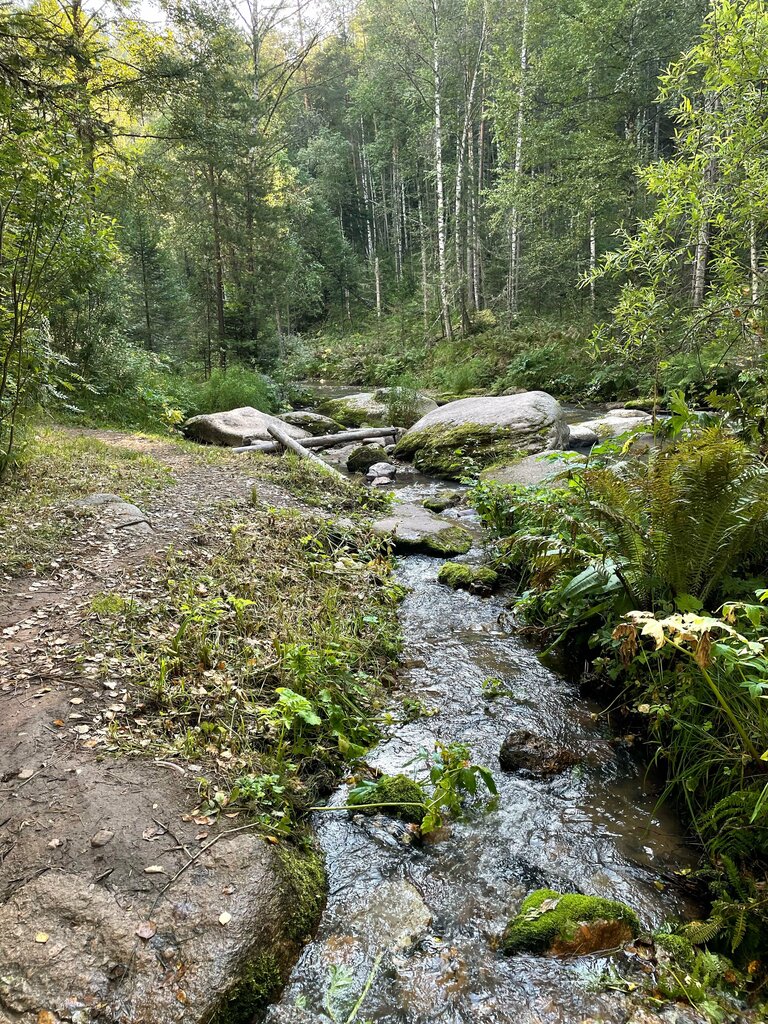 Doğa Ручей Шиши, Altayski krayı, foto