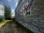 Ольга и Ко (Khanty-Mansi Autonomous Area, Nizhnevartovsk, ulitsa Lopareva), çiçek teslimatı  Nijnevartovsk'tan