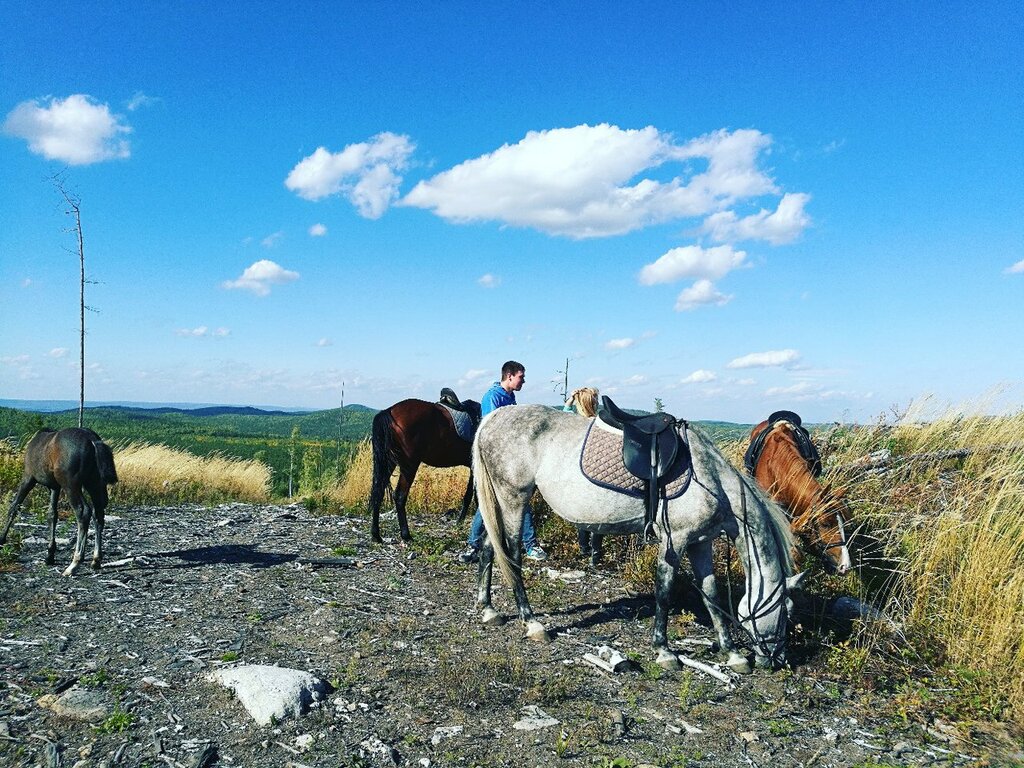 At ve binicilik kulüpleri Konno-turistichesky klub Svyatogor, Sverdlovskaya oblastı, foto