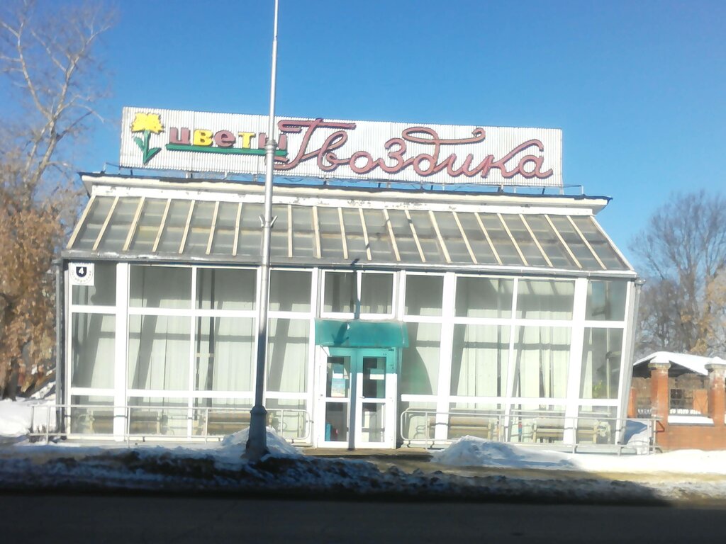 Çiçekçiler Гвоздика, Sarov, foto