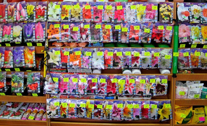 Sera ve bahçe ürünleri Садовый центр, Krasnodar, foto