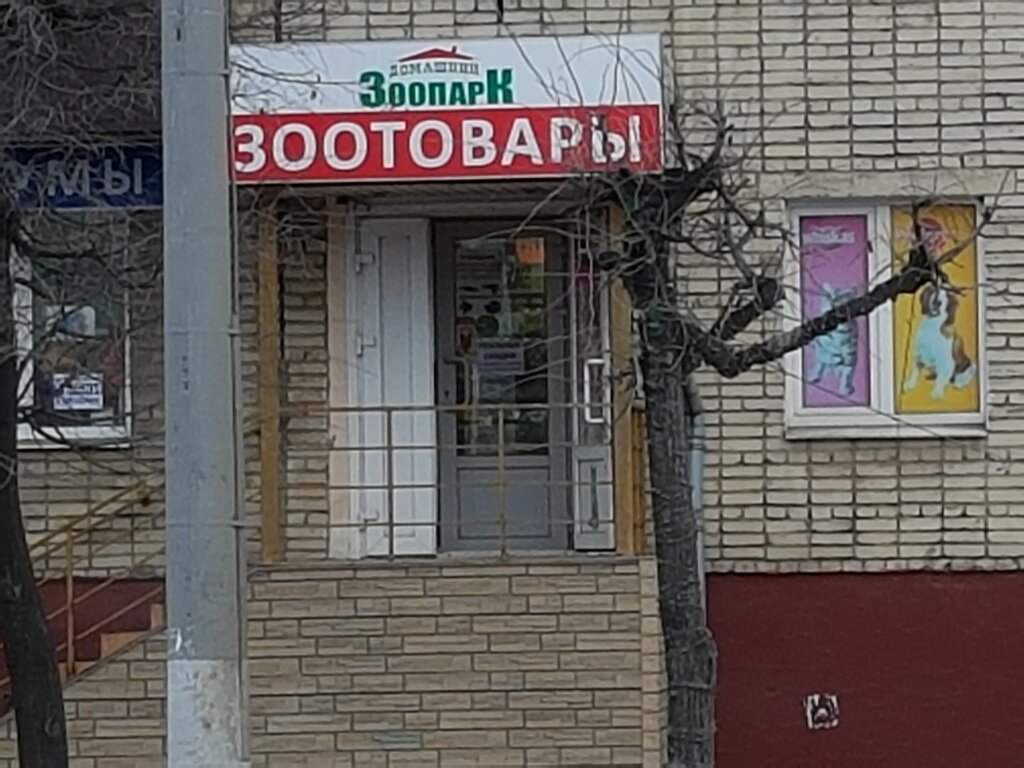 Petshop Zootovari i akvariumi, Tula, foto