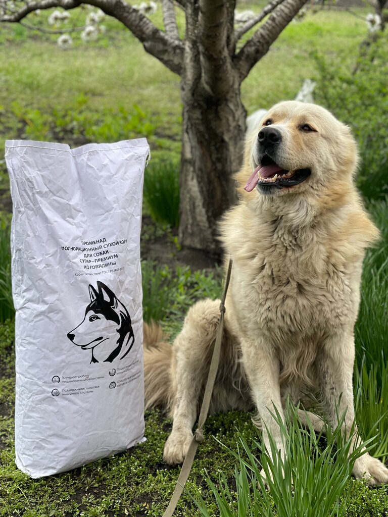Petshop Корм для собак и кошек Променад, Belgorodskaya oblastı, foto