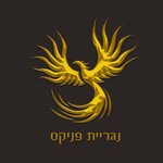 Phoenix Carpentry (Arad), büro mobilyaları  Arad'dan