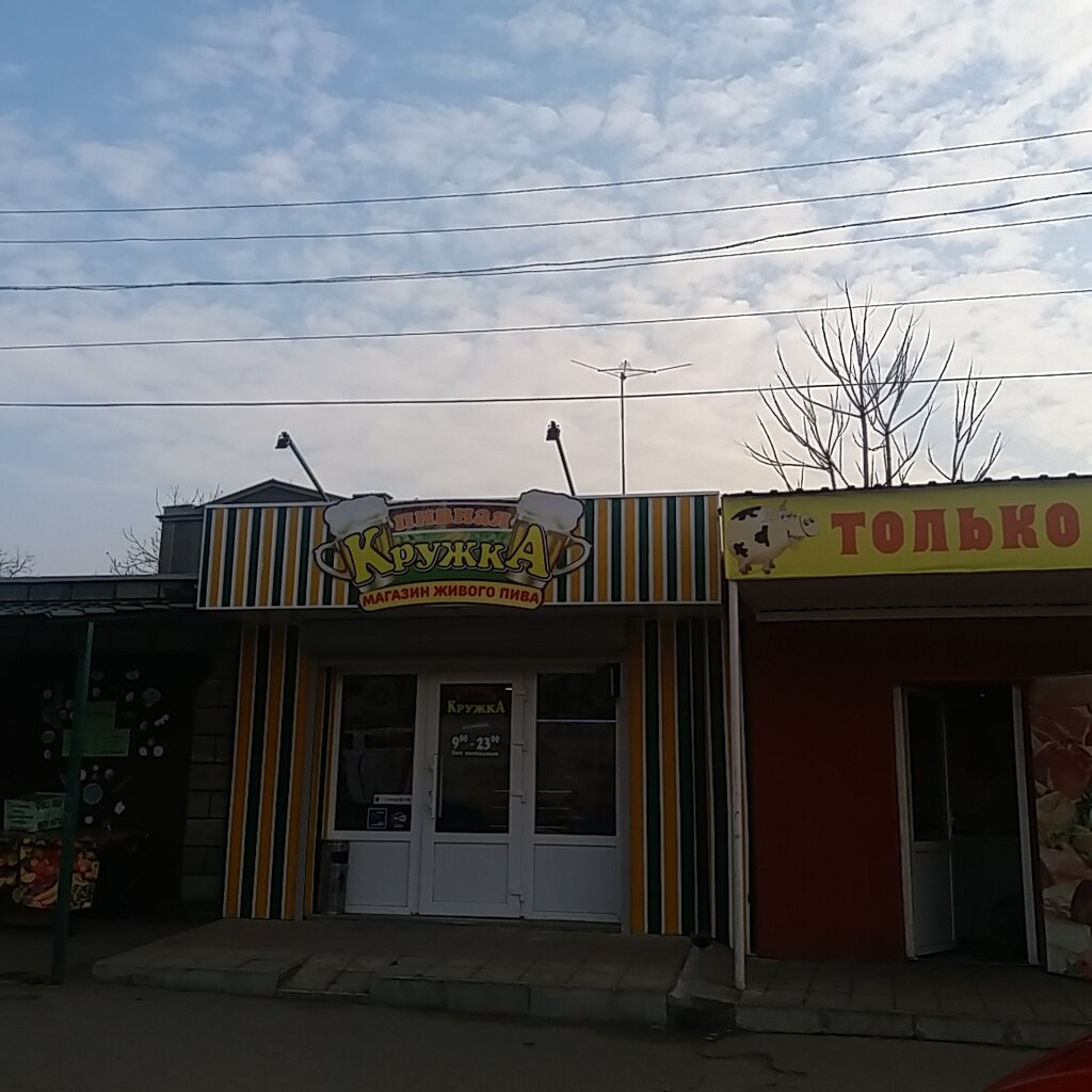 Bar Magazin zhivogo piva Piva Kruzhka, Nikolaev, foto